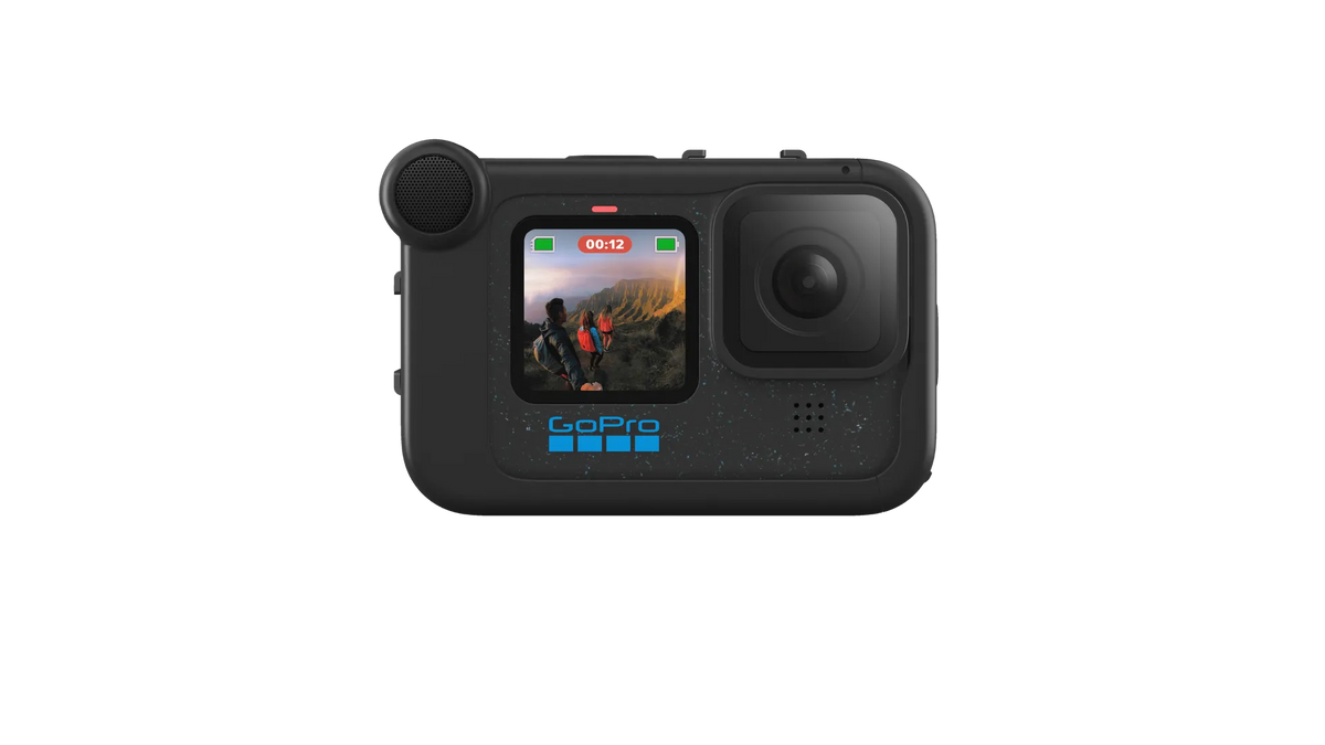 GoPro Media Mod Directional Mic + Media Ports Frame – Pro UTV Parts